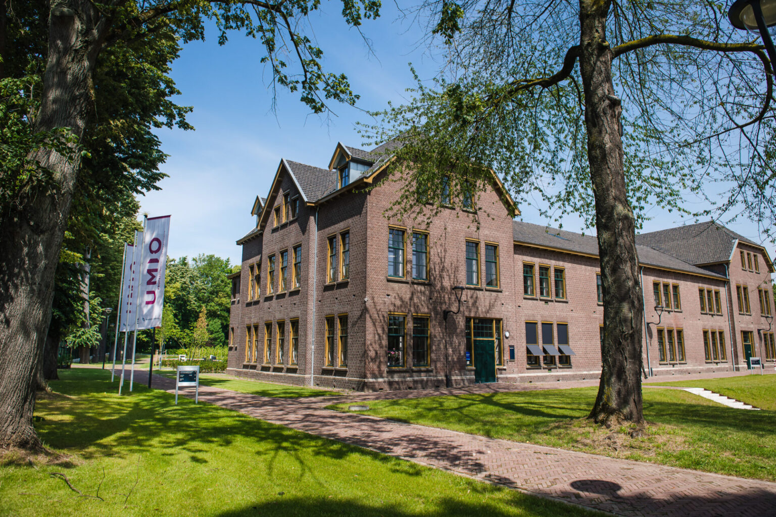 Unlock the future of business: Strategy, Digital & AI ☆ UMIO ...